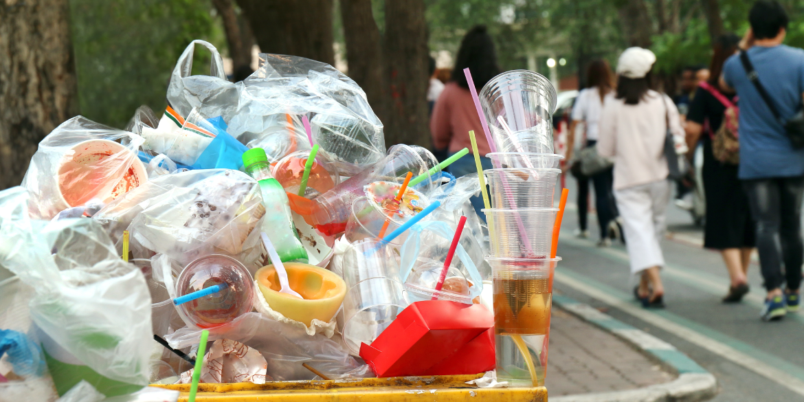 Creating An Impact With Our Work Here In Singapore | WWF-SG