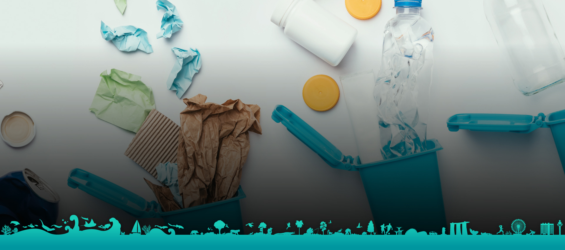 Creating An Impact With Our Work Here In Singapore | WWF-SG